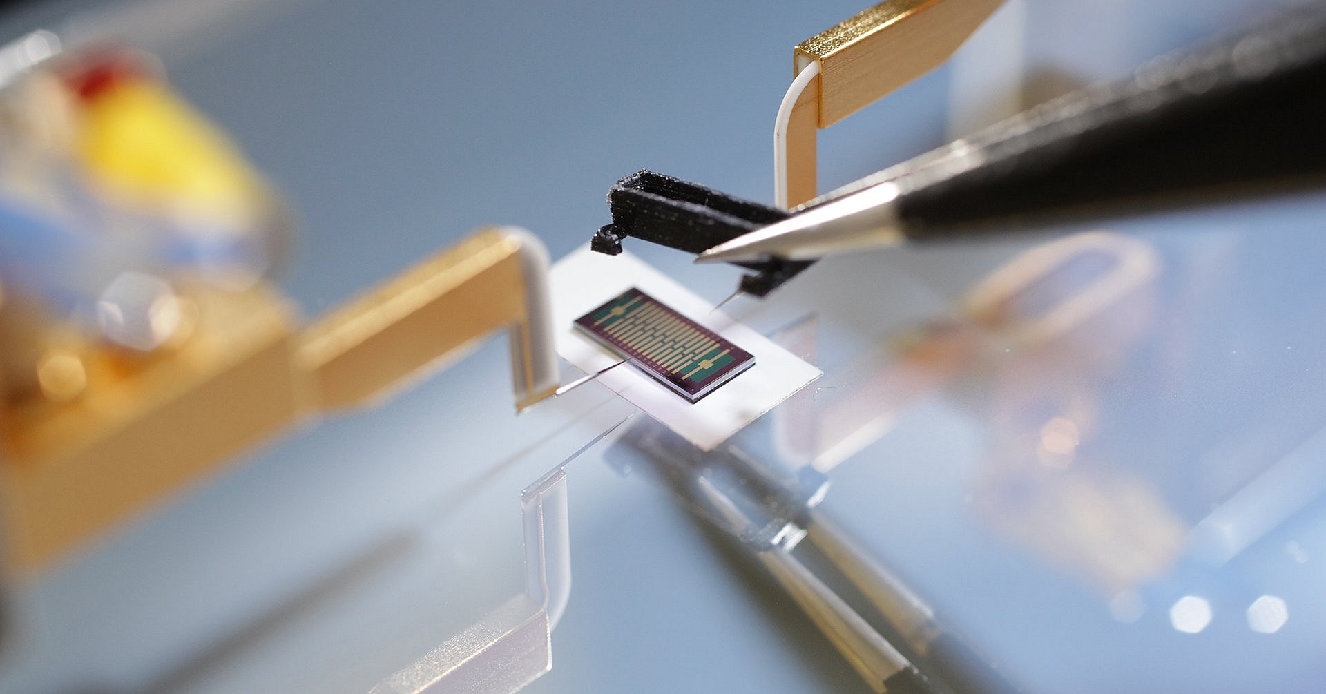 IMMS - Lead application Sensor systems for in-vitro diagnostics